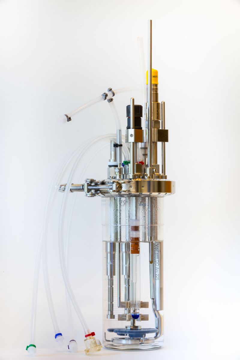 Seeing science | MIT News | Massachusetts Institute of Technology