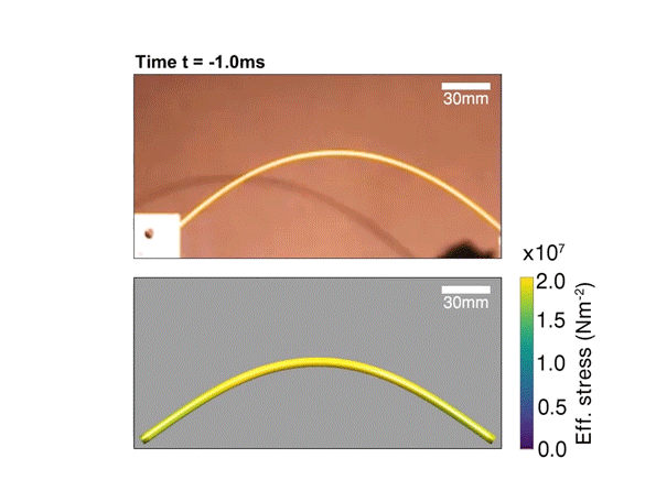 MIT mathematicians solve age-old spaghetti mystery | MIT News ...