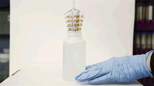 Contaminated Water Clipart Gif
