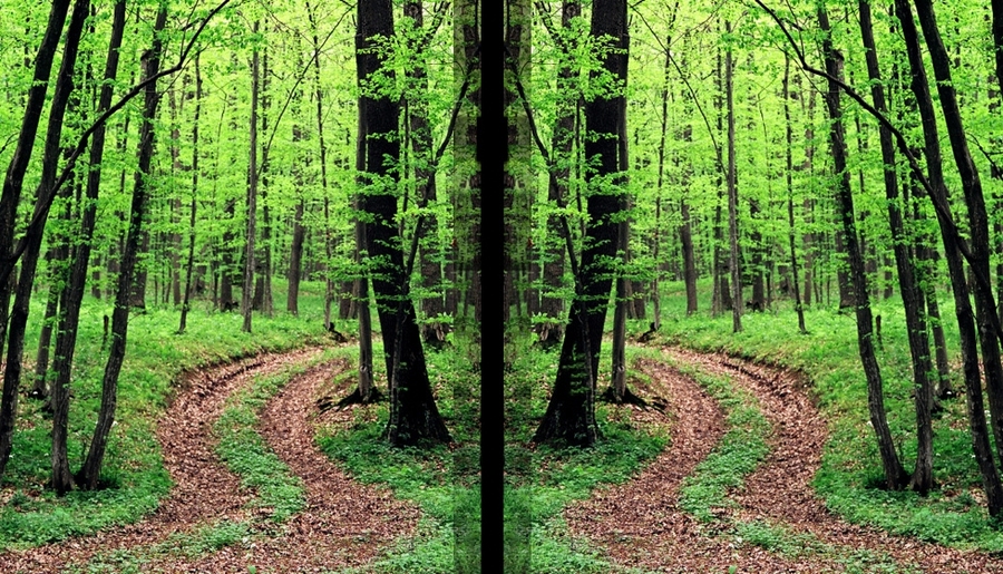Scene Perception Versus Action In The Brain MIT News Massachusetts Scene Perception Versus Action In The Brain MIT News Massachusetts