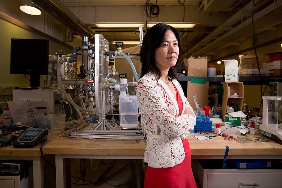 A lifelong relationship with the Institute | MIT News | Massachusetts ... A lifelong relationship with the Institute | MIT News | Massachusetts ...