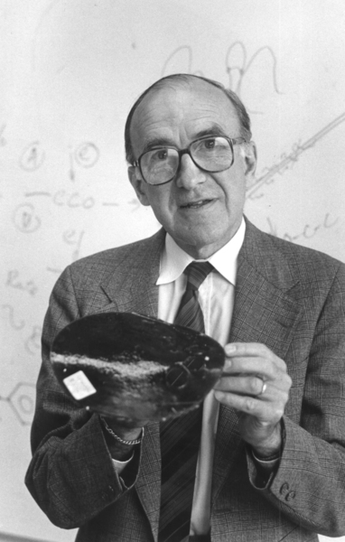 Professor Emeritus Edward Merrill, chemical engineer who helped found ...