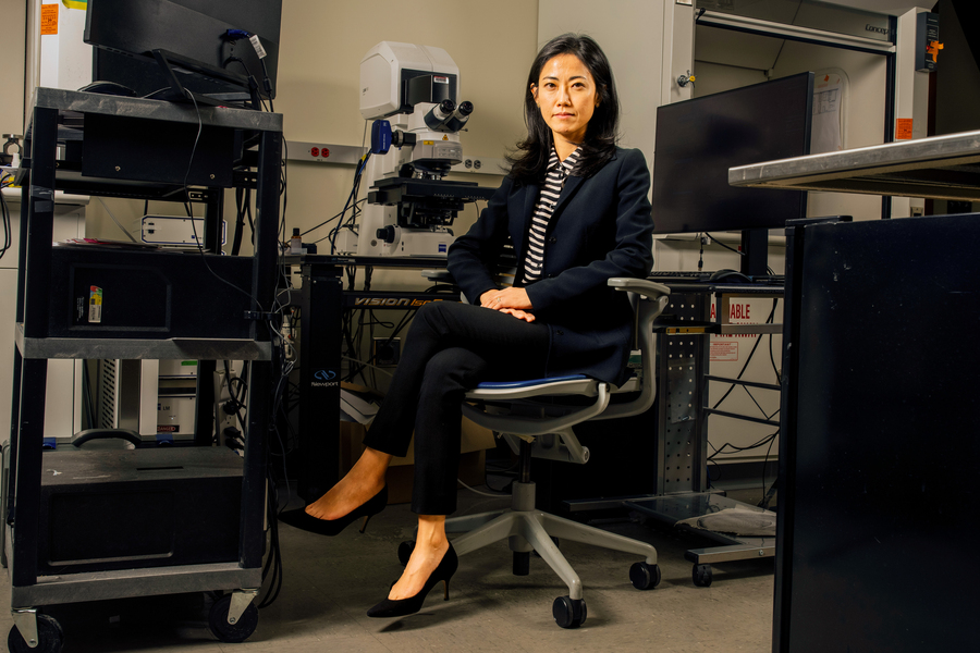 Building a bridge between neuroscience and immunology | MIT News ... Building a bridge between neuroscience and immunology | MIT News ...